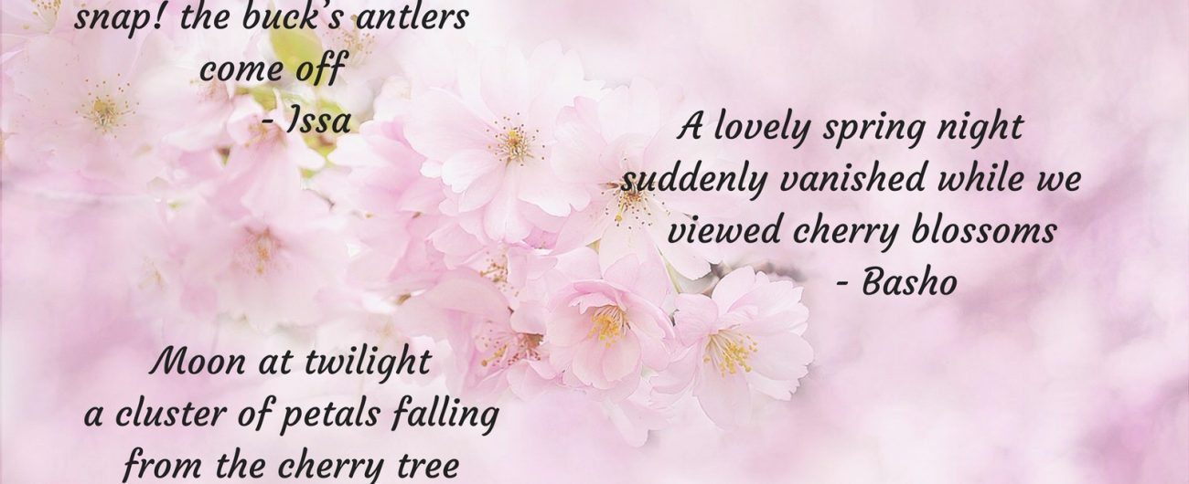 Verseday: Cherry Blossom Haikus – Travelling Birdy